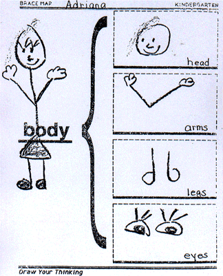 Circle, Tree or Brace-Thinking maps are useful and fun! | Miss ...