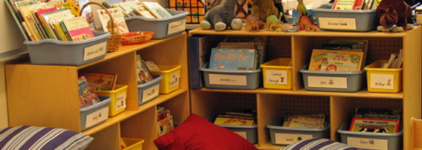 classroom_library | Miss Bindergarten's Classroom